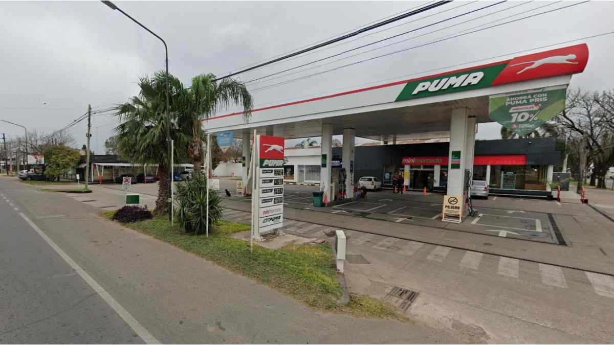 Encuentran vaina en la Puma de Funes: estaría relacionada con la ...